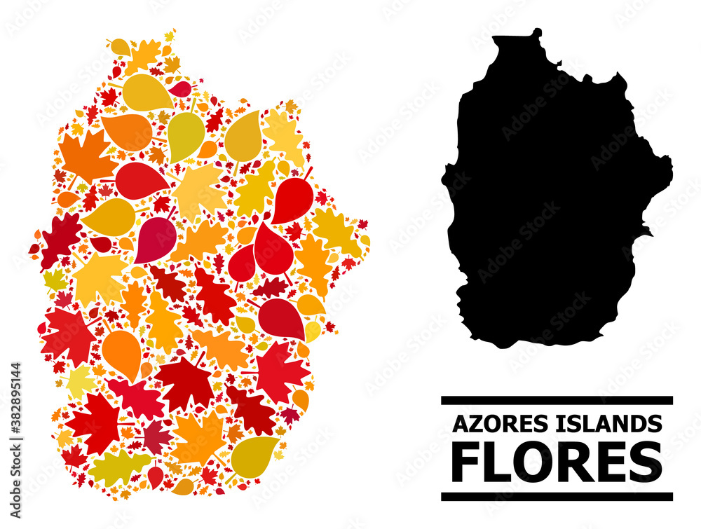 Mosaic autumn leaves and usual map of Azores - Flores Island. Vector ...
