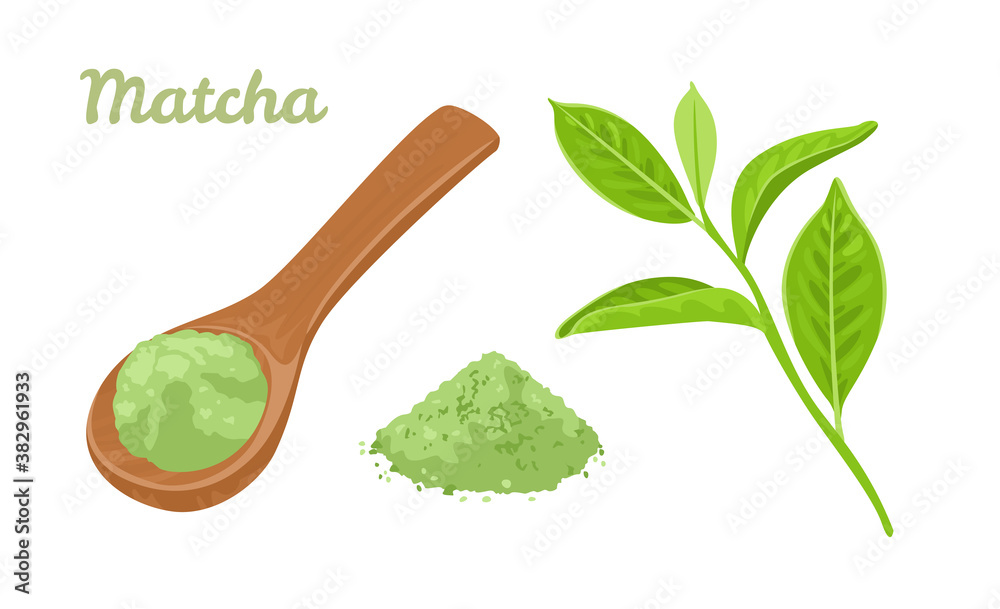 Matcha Green Tea Powder in wooden spoon and sprig with leaves isolated ...