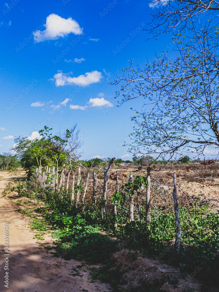 Região rural do sertão do Brasil e conta com a caatinga como bioma ...