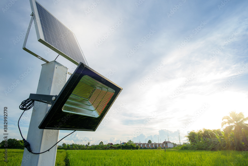 Solar renewable energy panels installed in the sun Stock Photo | Adobe ...