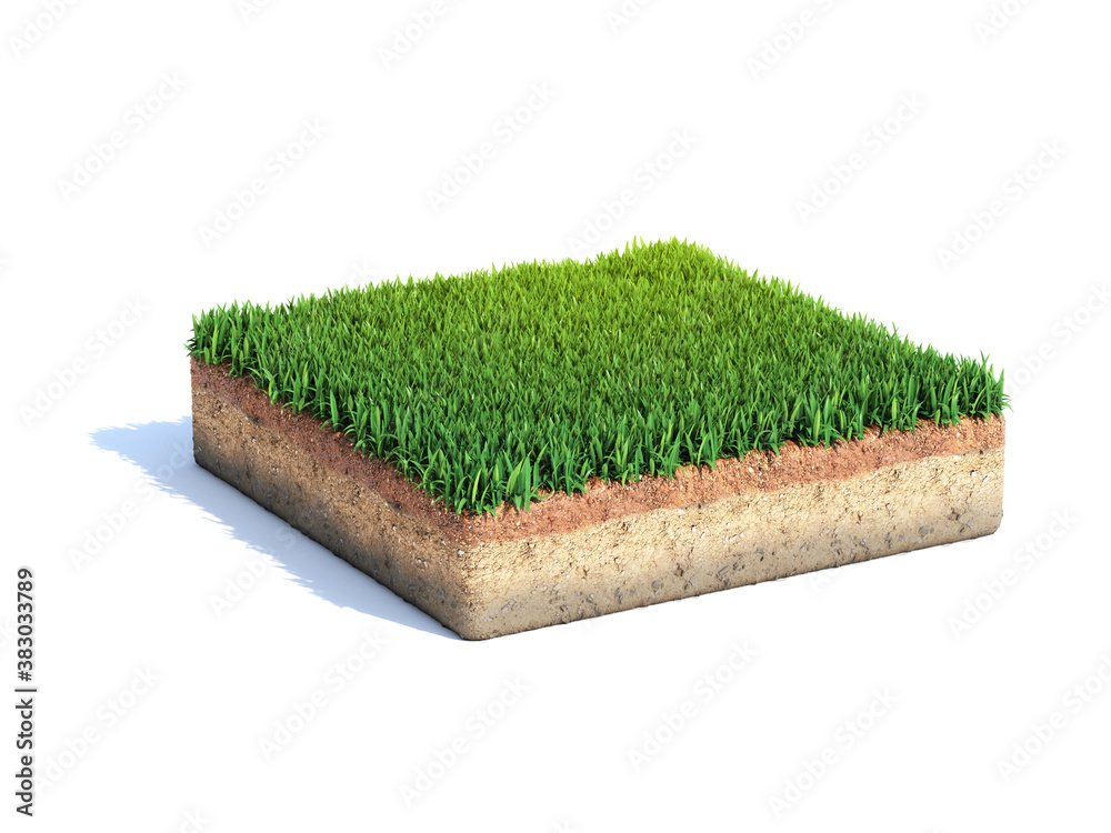 Cubic cross section of ground with grass, ecology, geology concept ...