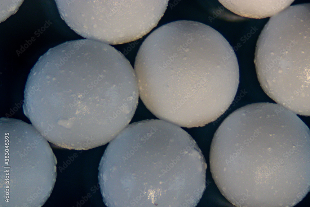 Sodium alginate is a cell wall component of marine brown algae for ...