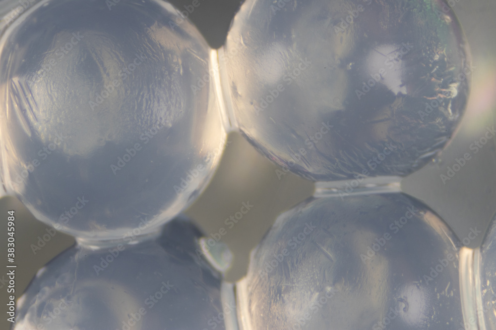 Sodium alginate is a cell wall component of marine brown algae for ...