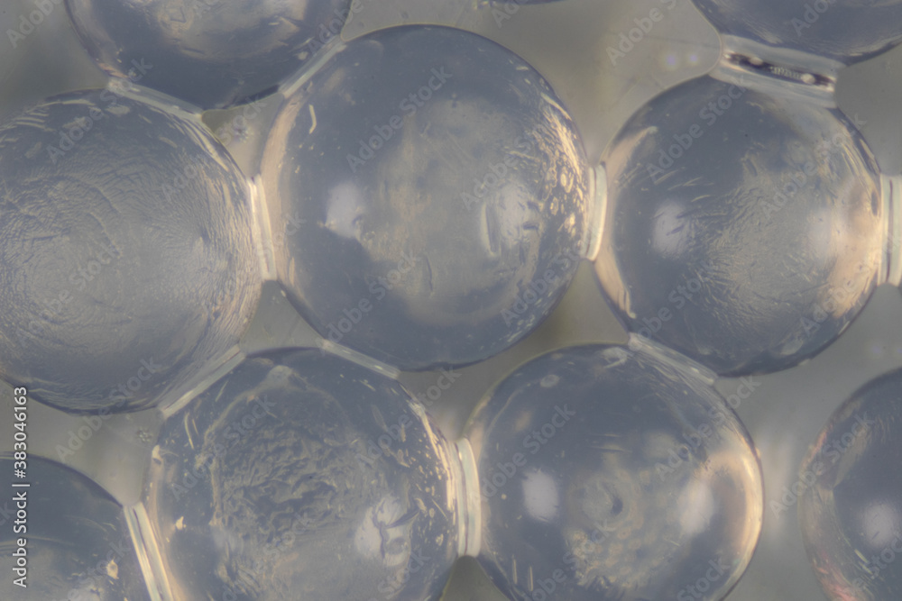 Sodium alginate is a cell wall component of marine brown algae for ...