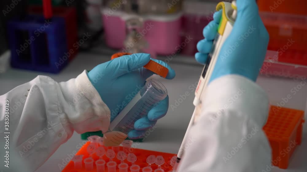 Laboratory researcher in an experiment on viruses Stock Video | Adobe Stock