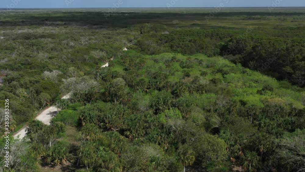 Aerial camera moving backwards over the jungle to reveal Catholic ...