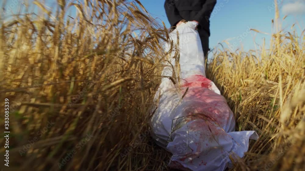 Vidéo Stock Anonymous killer dragging bleeding dead body in white bag ...