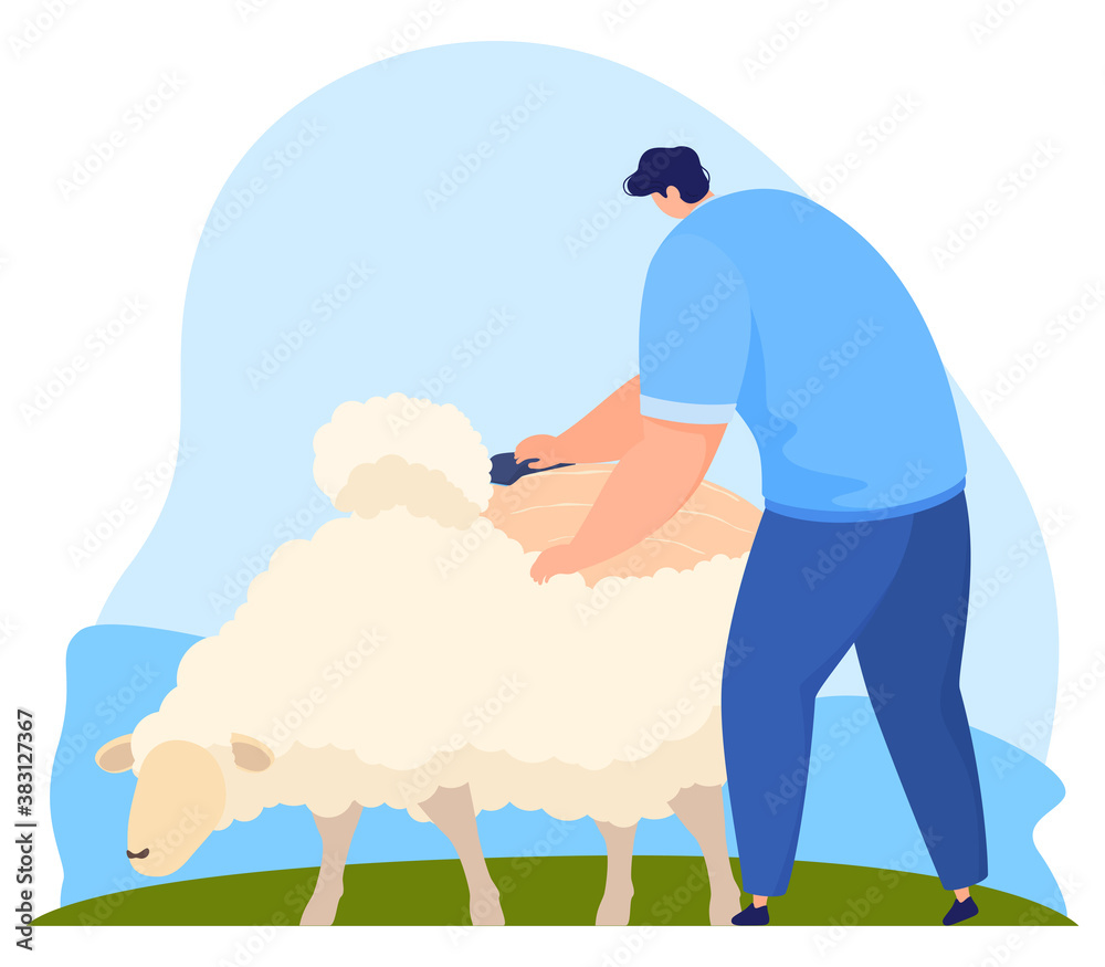 Farm animals, farmer. Sheep shearing. Vector illustration Stock Vector ...