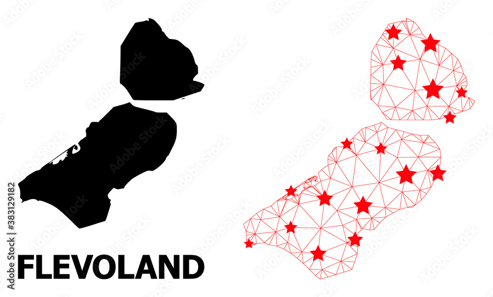 Network polygonal and solid map of Flevoland Province. Vector structure ...