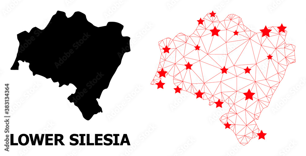 Network polygonal and solid map of Lower Silesia Province. Vector model ...