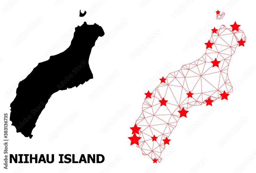 Wire frame polygonal and solid map of Niihau Island. Vector structure ...
