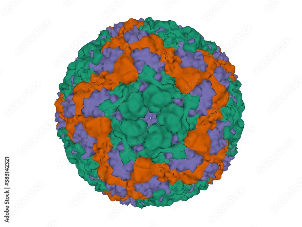 Structure of Foot and Mouth Disease Virus A22 Serotype, 3D surface ...