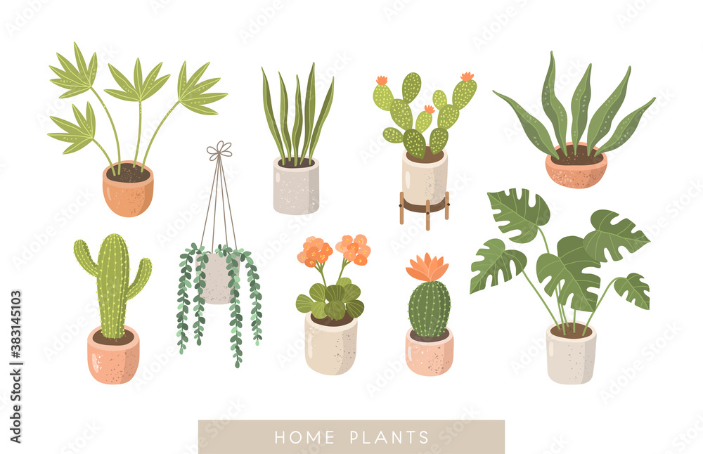 House plants vector illustration set. Cute home flowers, cactus ...