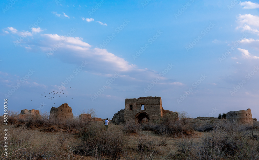 Bijnot Fort, is a ruined fortress located in Bahawalpur District of ...