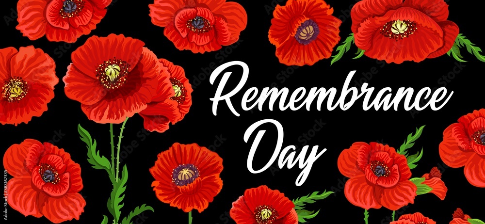 Remembrance day poppy flowers, Anzac day national memorial, vector ...