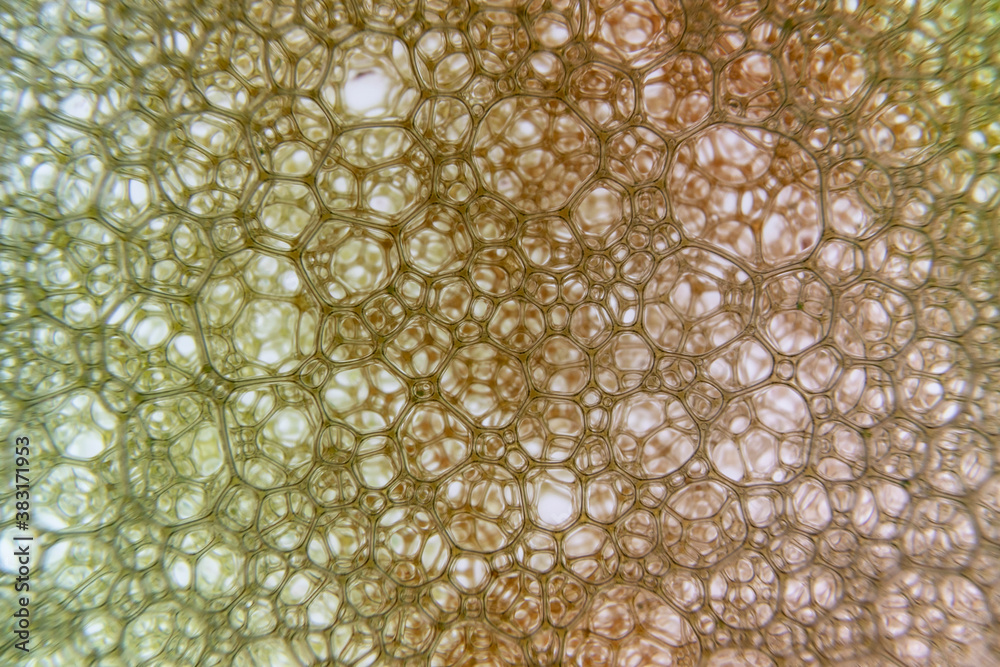 Chemical structures. Series of photographs of bubbles. Abstract ...