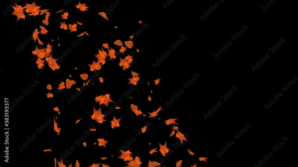 Leaf fall animation with wind. Autumn maple, leaves falling loop 4k ...