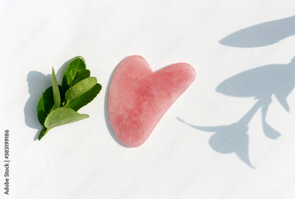 Gua sha, green plant and shadow on white background top view. Stock ...
