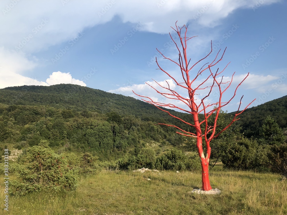 Strazica - Sapacica Land Art Trail - Ucka Nature Park, Croatia / Land ...