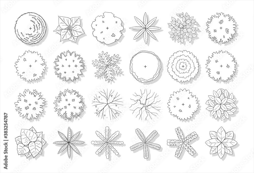 hand drawn vector set of top view tree isolated on white background ...
