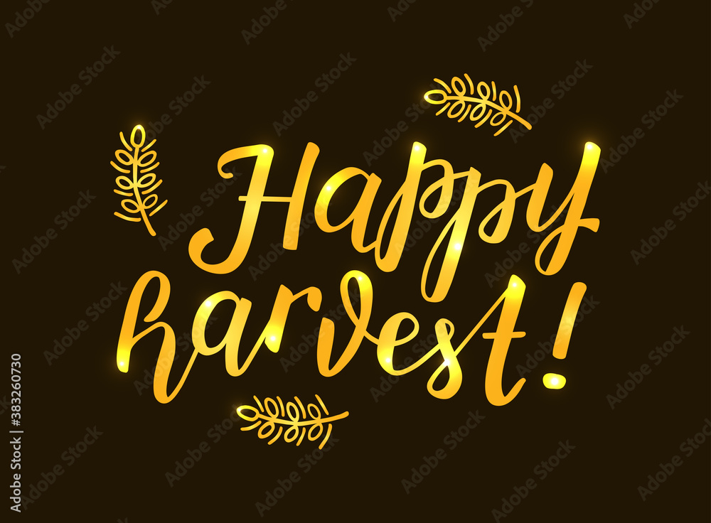 Happy Harvest hand written Lettering with wheat spikes. Golden vector ...