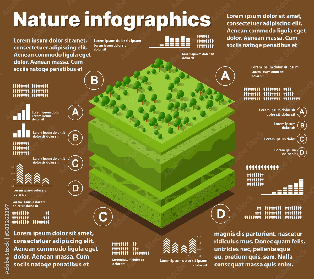 Infographics nature Geological and underground layers of soil under the ...