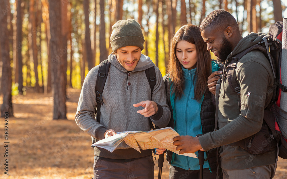 Group of hikers checking map, lost in middle of forest Stock Photo ...