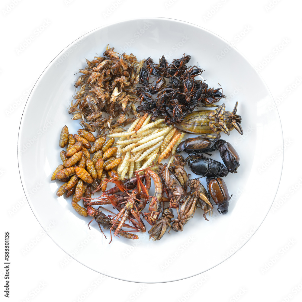 Combine fried insects with salt, protein food in a white dish top view ...