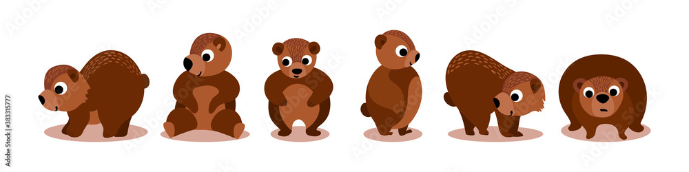 Cute cartoon bears collection. Funny woodland characters isolated on ...