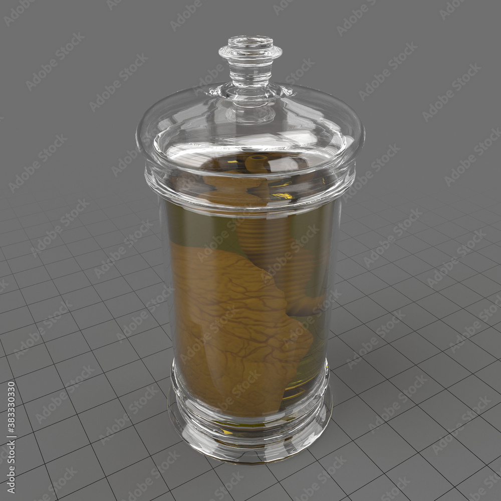 Vintage jar with lungs organ แอสเซทสต็อก 3 มิติ | Adobe Stock
