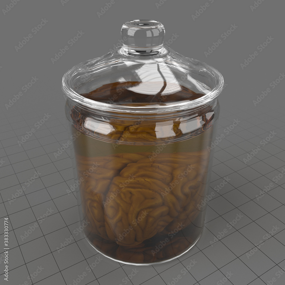 Vintage jar with brain organ Stock 3D asset | Adobe Stock