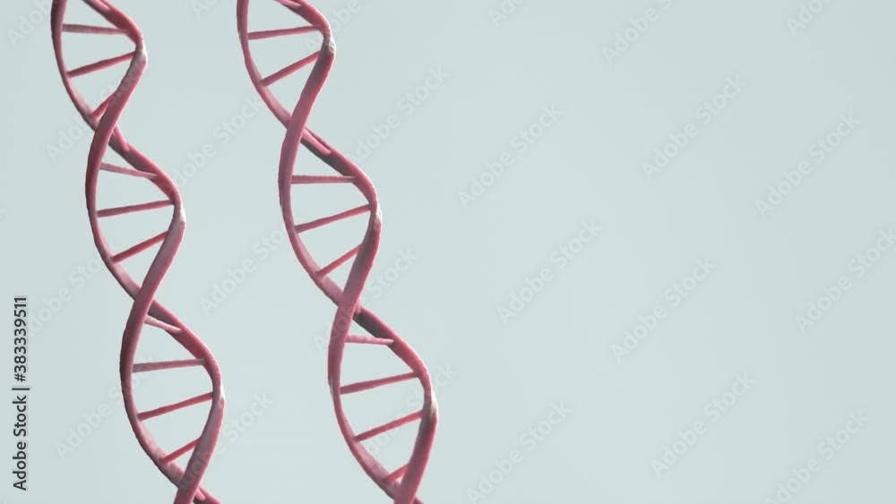 Double helix structure rotating against white background, loopable with ...