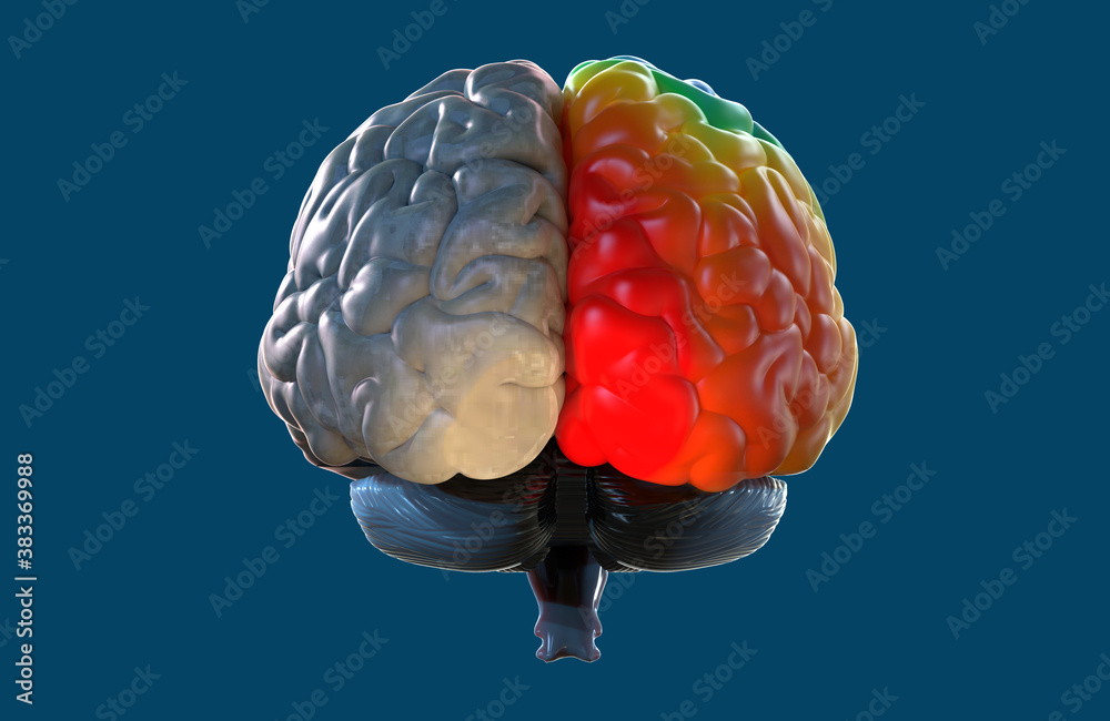 3D rendering illustration hemispheres brain back view isolated on blue ...