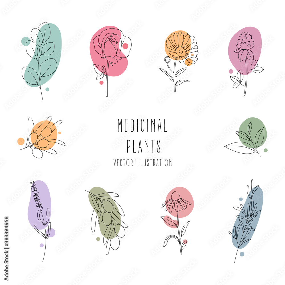 Set of medicinal plants.Collection hand drawn, botanical and healing ...