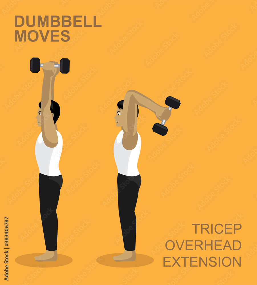 Tricep Overhead Extension Dumbbell Moves Manga Gym Set Illustration ...