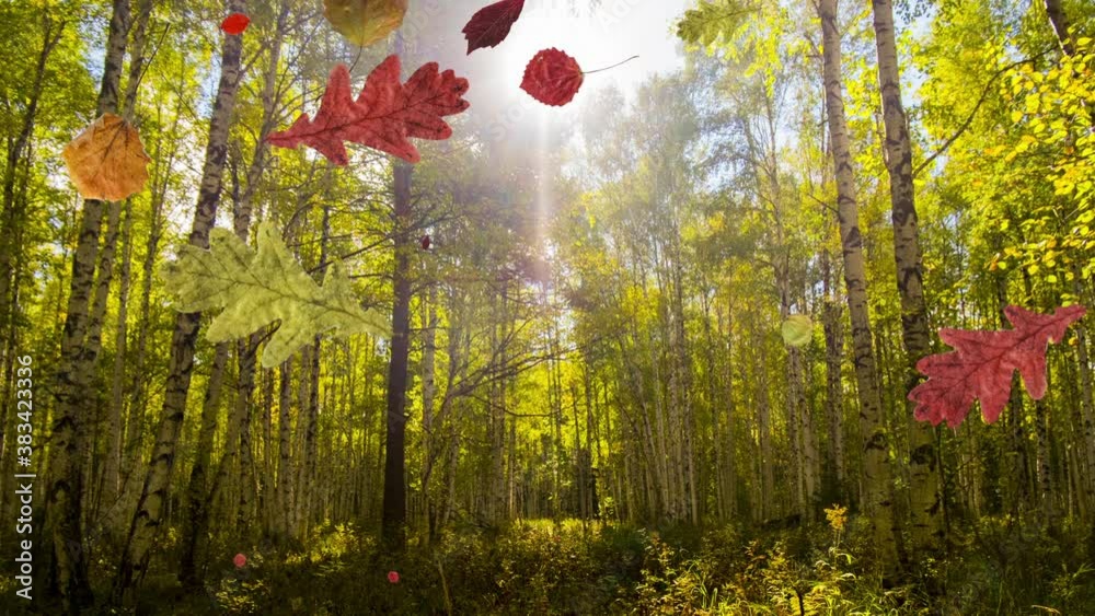 animation of falling leaves in the forest. They fly from left to right ...
