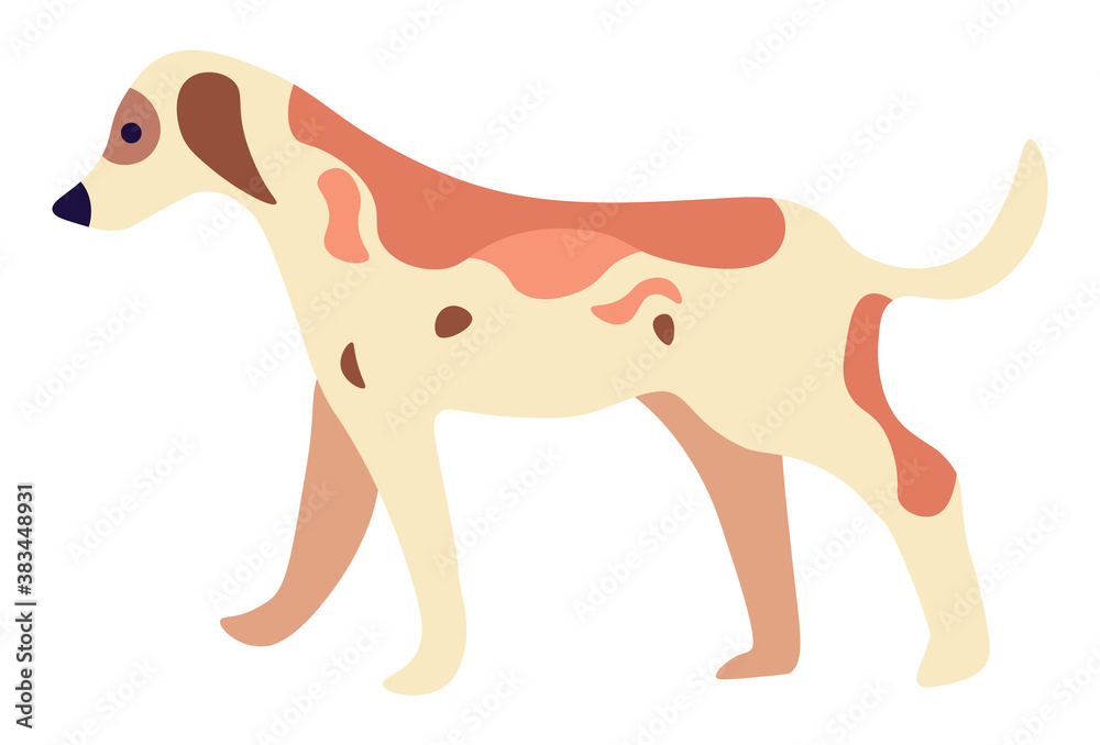Spotted dog standing on four paws isolated domestic animal in flat ...