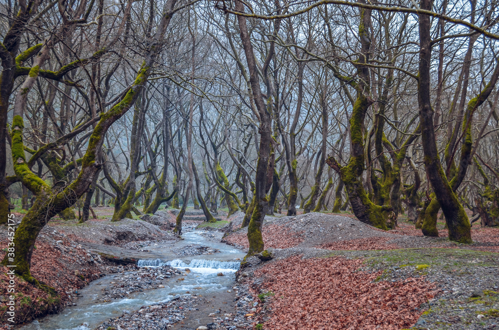Planitero the breathtaking village, as it is surrounded by a dense ...