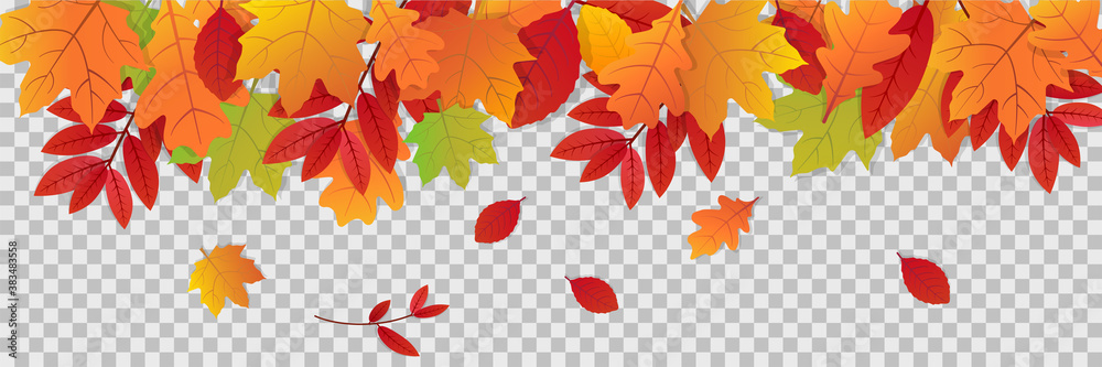 Autumn Leaves Banner
