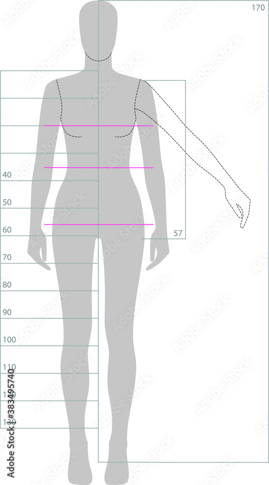 Female body template 170cm height for technical fashion flat sketch ...
