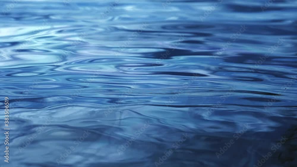 polluted water surface. water pollution as a result of human activities ...