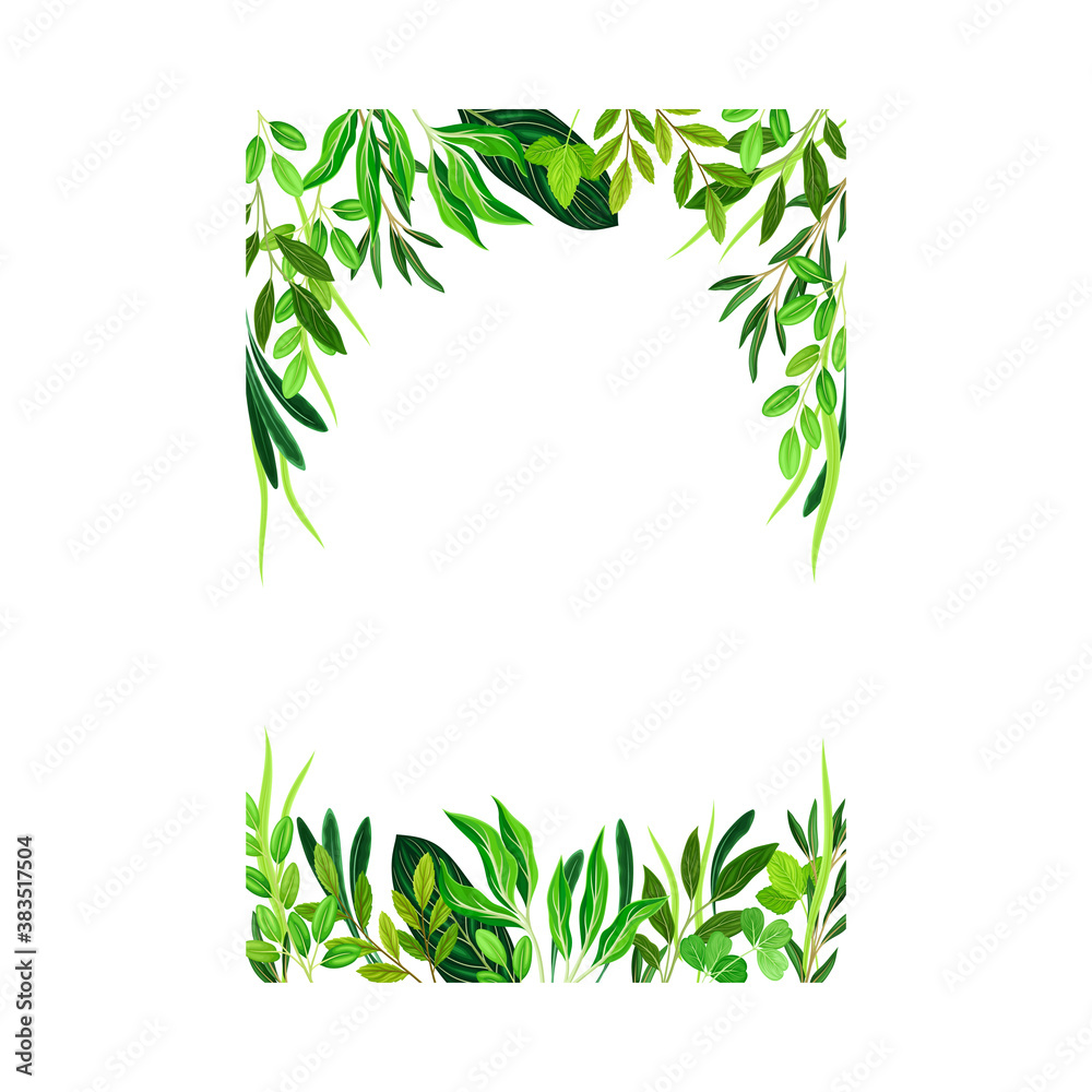 Rectangular Shaped Frame with Green Leaves or Foliage Vector ...