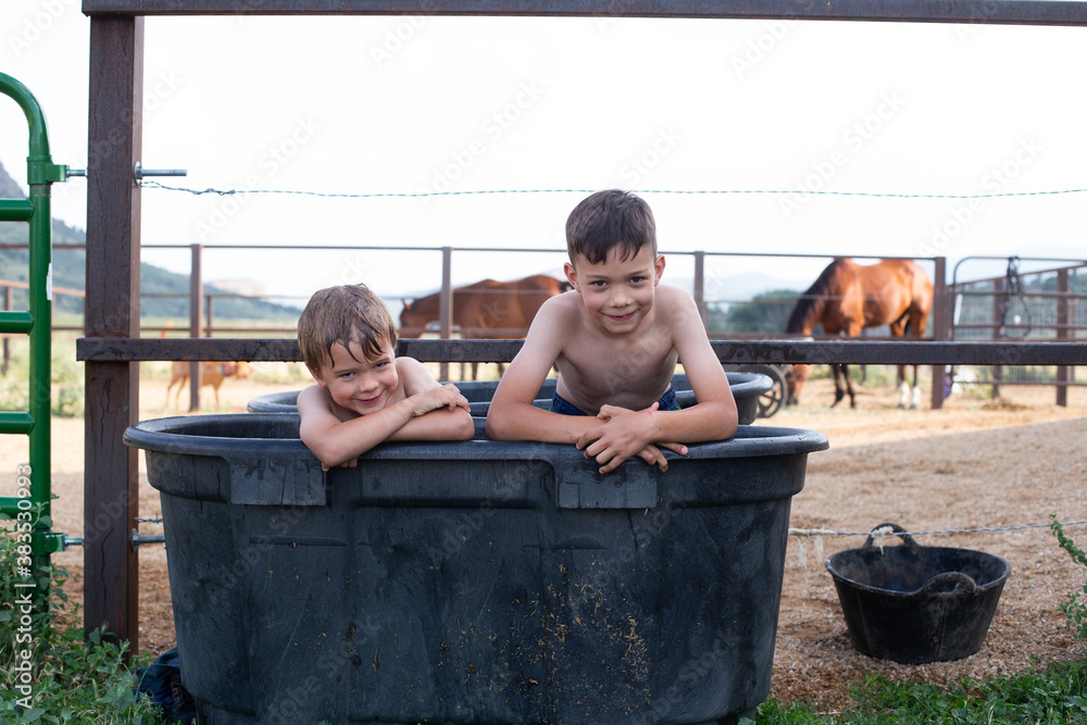 Cute kids playing in horse trough Stock Photo | Adobe Stock