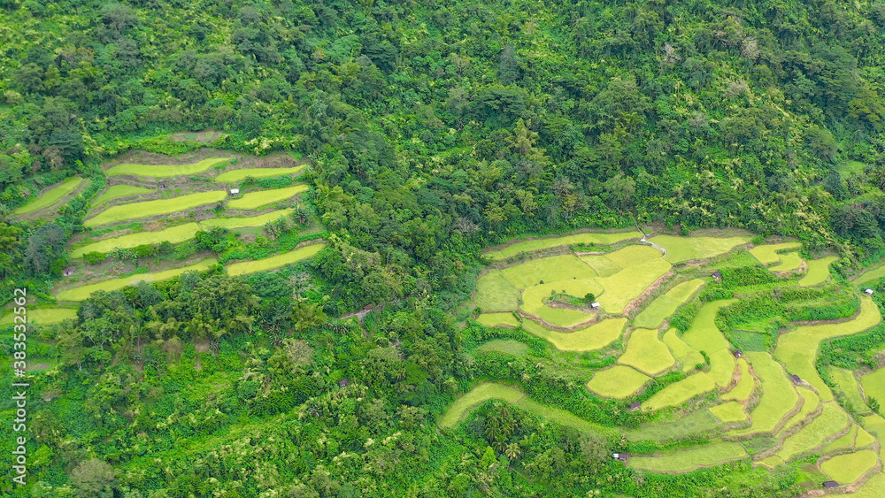 Bright landscape with rice terraces, view from above. Rice terraces in ...