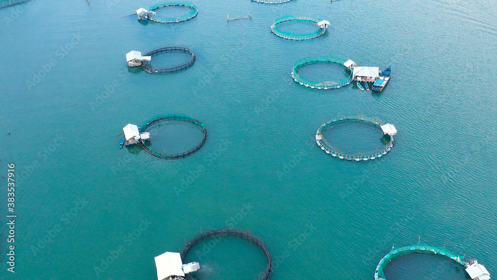 Fish cages and fish breeding nets at a fish farm. Aerial view of fish ...