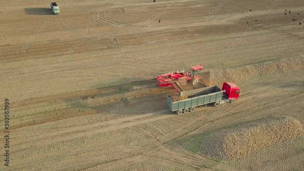 Crane conveyor of a combine harvester for unloading sugar beet. The ...