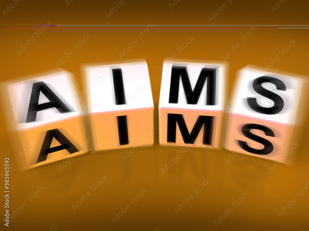 Aims Blocks Displays Purpose Targets and Goals Stock Illustration ...