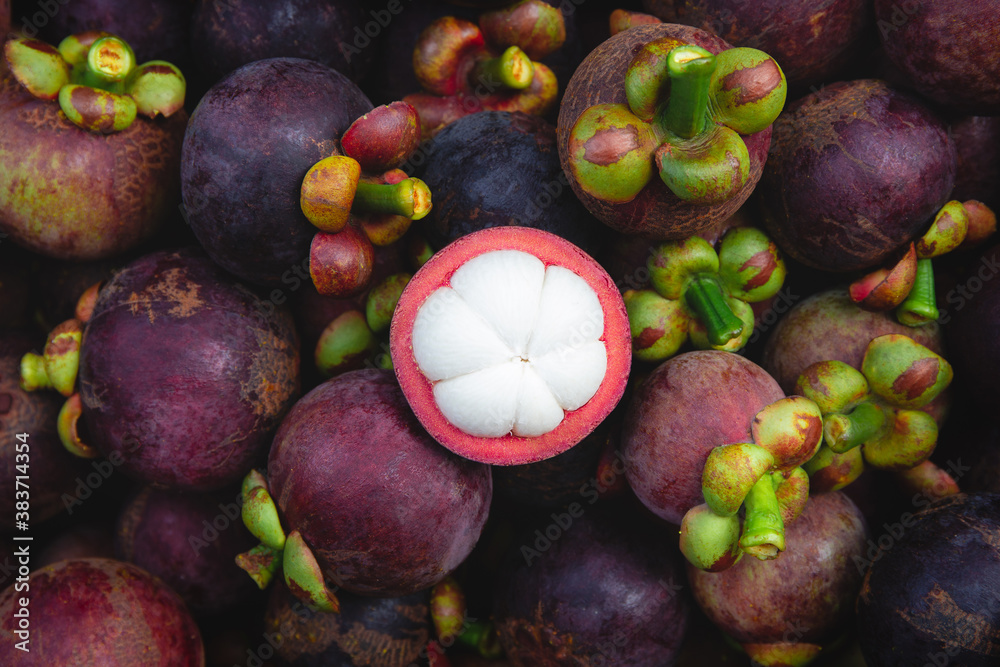 Fresh ripe mangosteen fruits and cross section showing the thick purple ...
