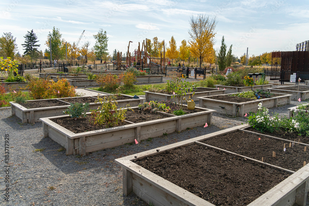 Community garden plots in downtown calgary for growing plants and food ...