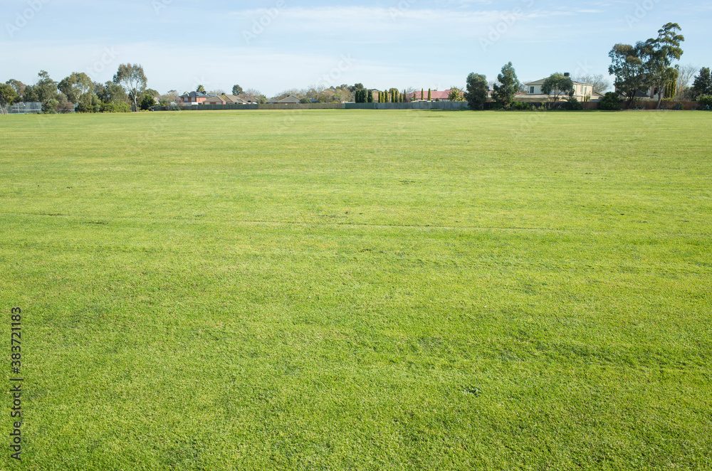 Stockfoto Background texture of a large public local park with green ...